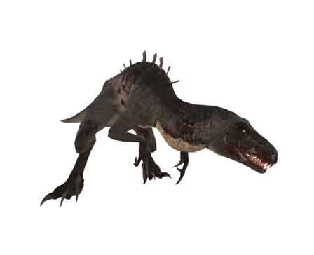 Raptor Spitting by Pablo444 - Experiences on ARLOOPA